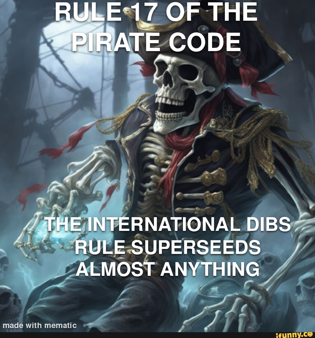 RULE 17 OF THE PIRATE _CODE THE INTERNATIONAL DIBS RULE SUPERSEEDS ALMOST ANYTHING made with ...