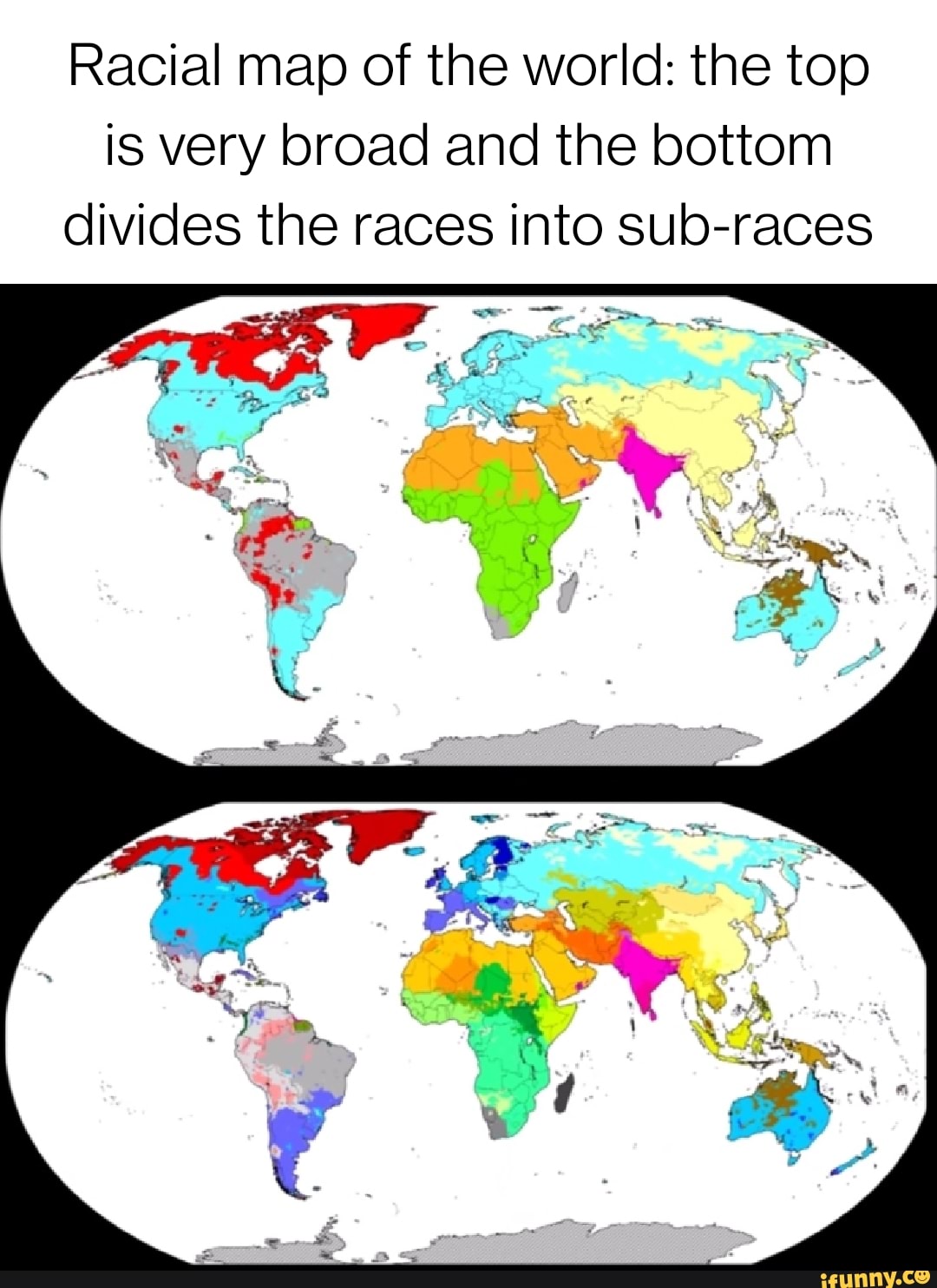 Racial map of the world: the top is very broad and the bottom divides ...