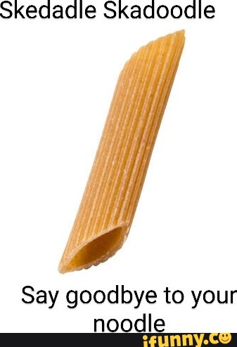 Skadoodle memes. Best Collection of funny Skadoodle pictures on iFunny