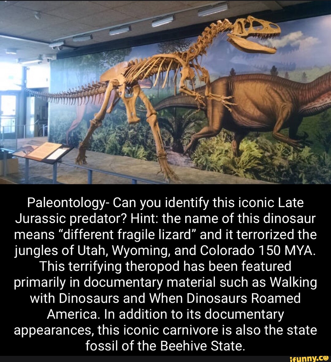 Paleontology- Can you identify this iconic Late Jurassic predator? Hint ...