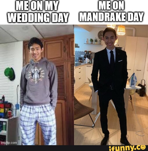 Mandrake memes. Best Collection of funny Mandrake pictures on iFunny