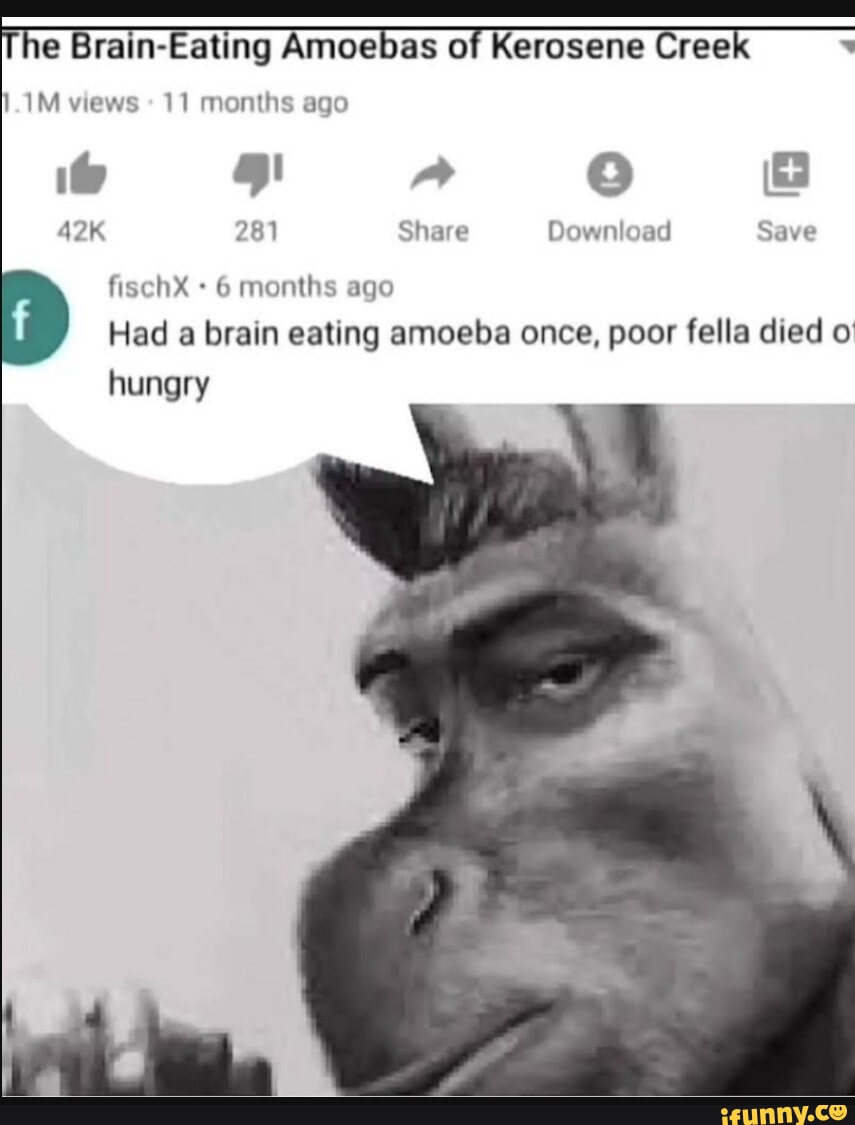 Amoebas memes. Best Collection of funny Amoebas pictures on iFunny