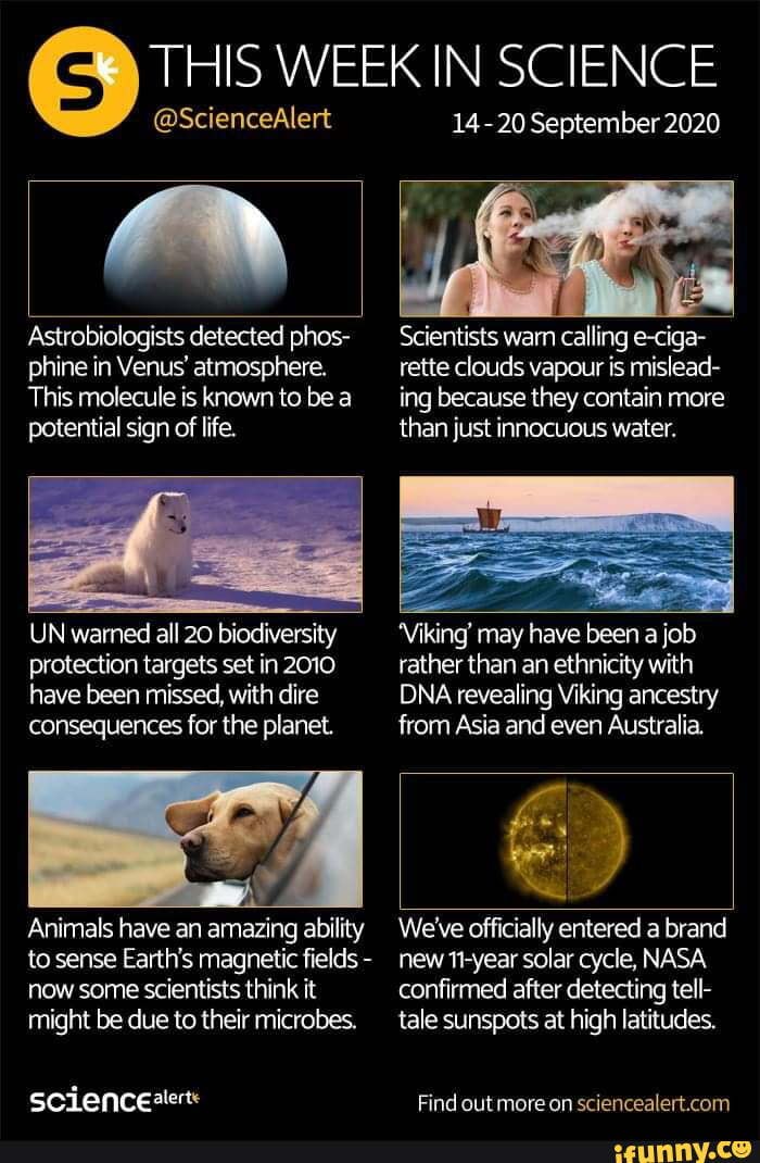 Astrobiologists memes. Best Collection of funny Astrobiologists ...