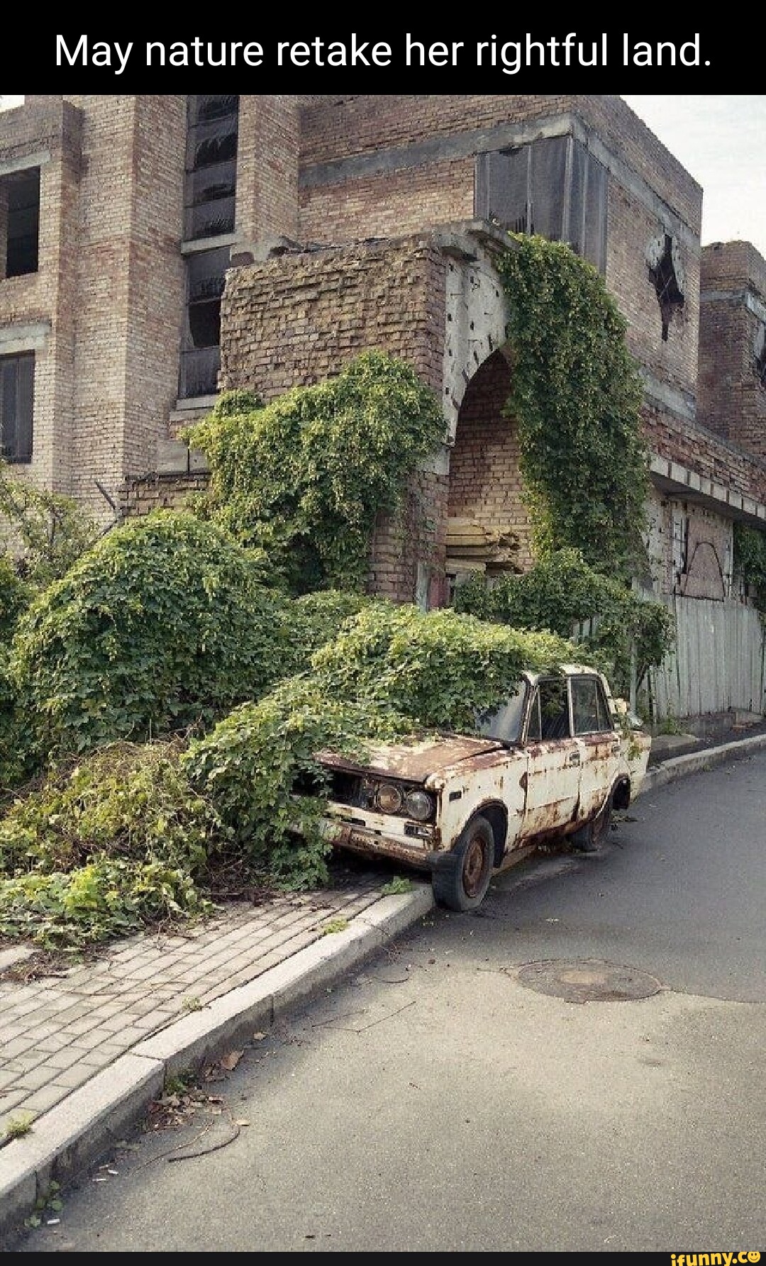 What are you doing step-drowned? - iFunny