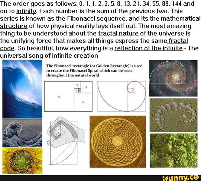 Fractal_universe memes. Best Collection of funny Fractal_universe ...