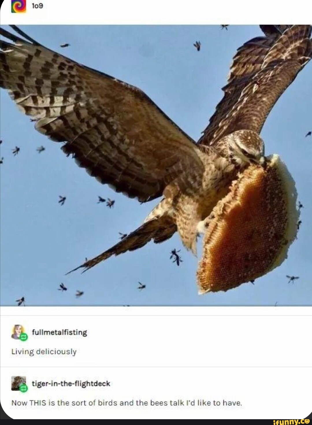 My toxic trait is telling people I'm down for anything when in reality ...