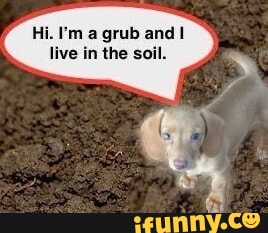 Resident Evil 3 Remake Jill Valentine in the Thicc Jiggle Suit PC Mod ...