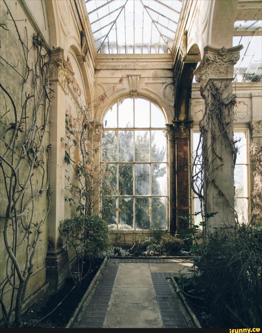 Greenhouseaesthetic memes. Best Collection of funny Greenhouseaesthetic ...