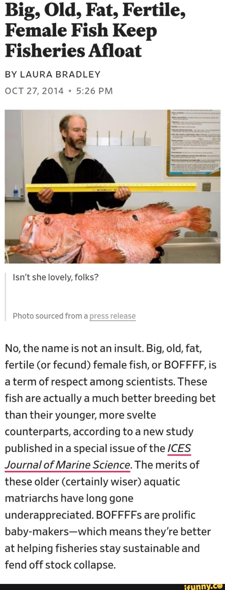 Fisheries memes. Best Collection of funny Fisheries pictures on iFunny