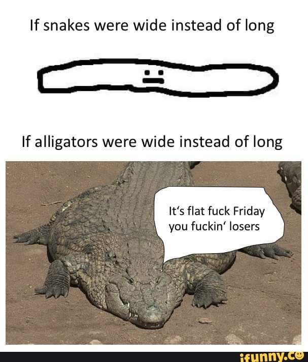 If snakes were wide instead of long If alligators were wide instead of ...