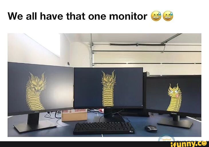 We all have that one monitor - iFunny