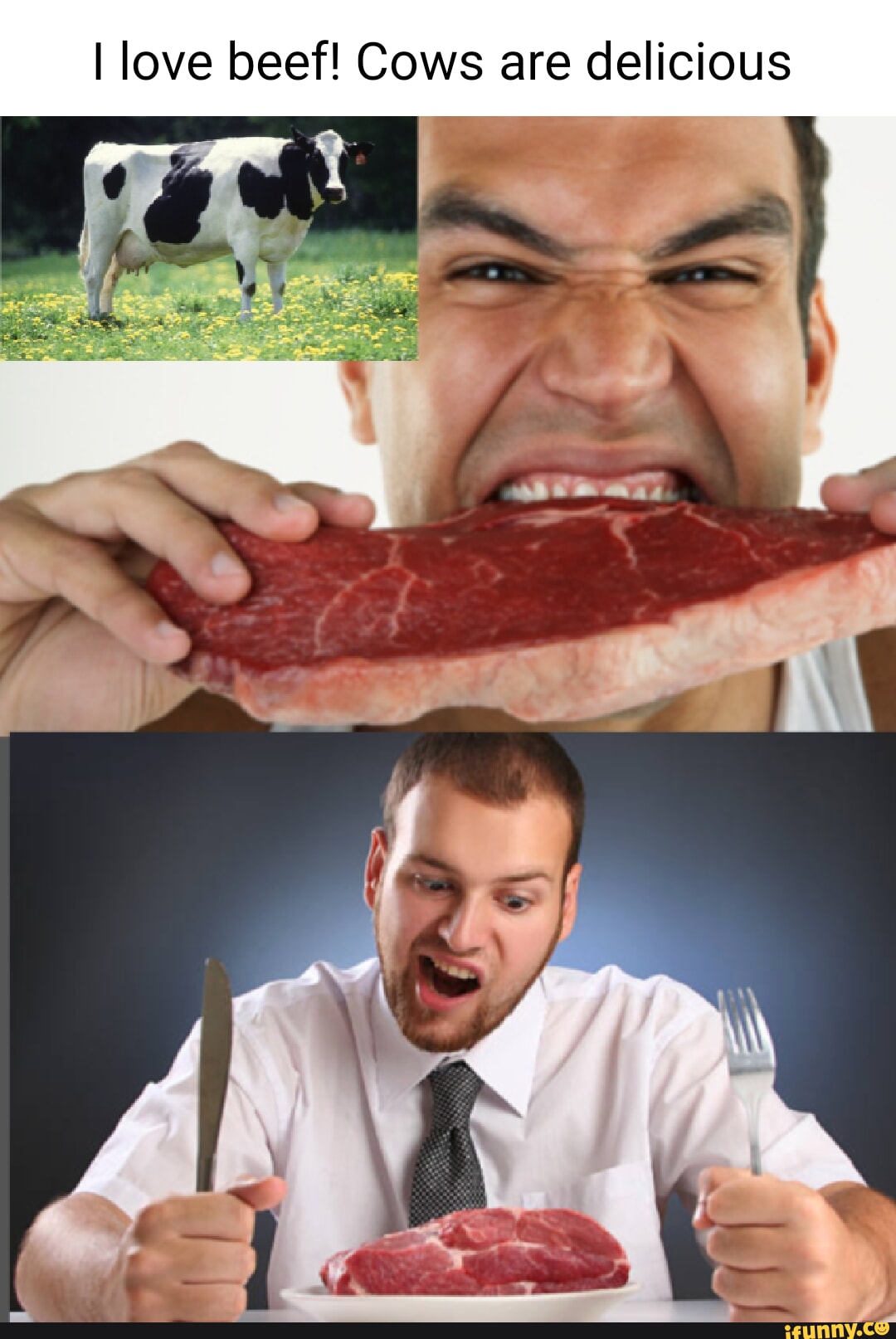 I love beef! Cows are delicious I - iFunny