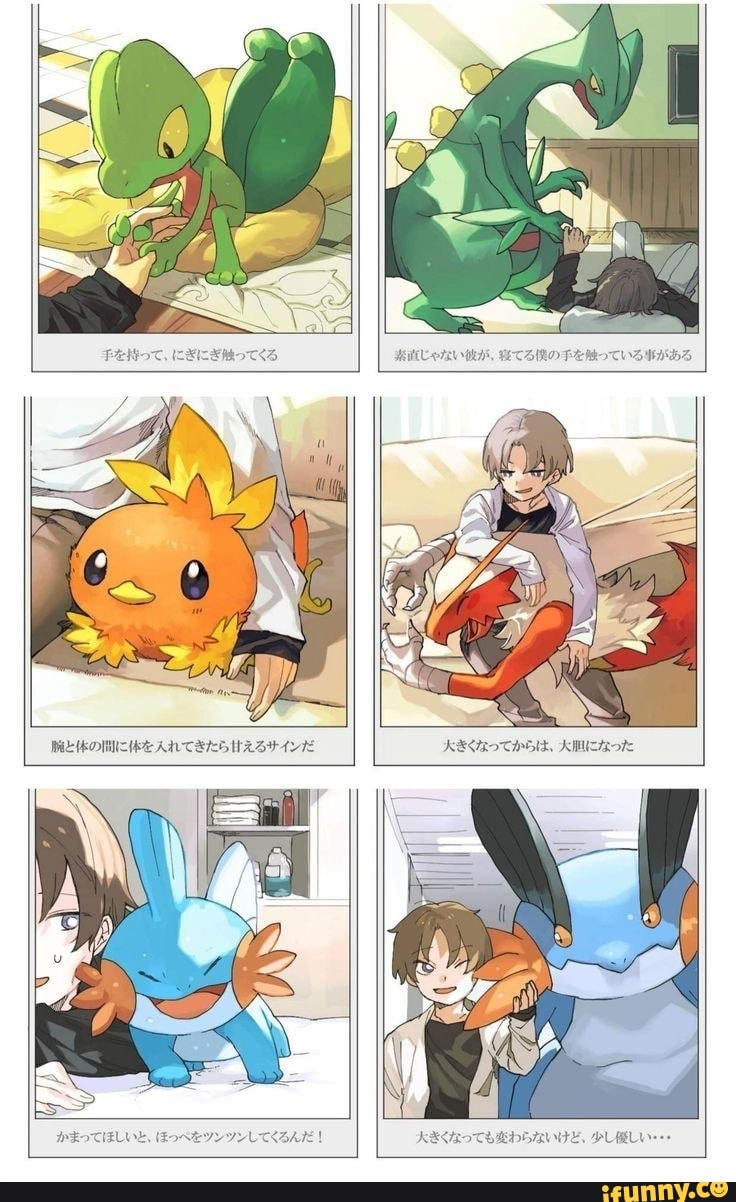 Hoen memes. Best Collection of funny Hoen pictures on iFunny