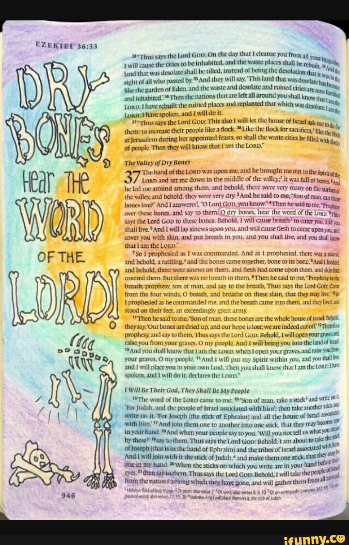 Desolation memes. Best Collection of funny Desolation pictures on iFunny