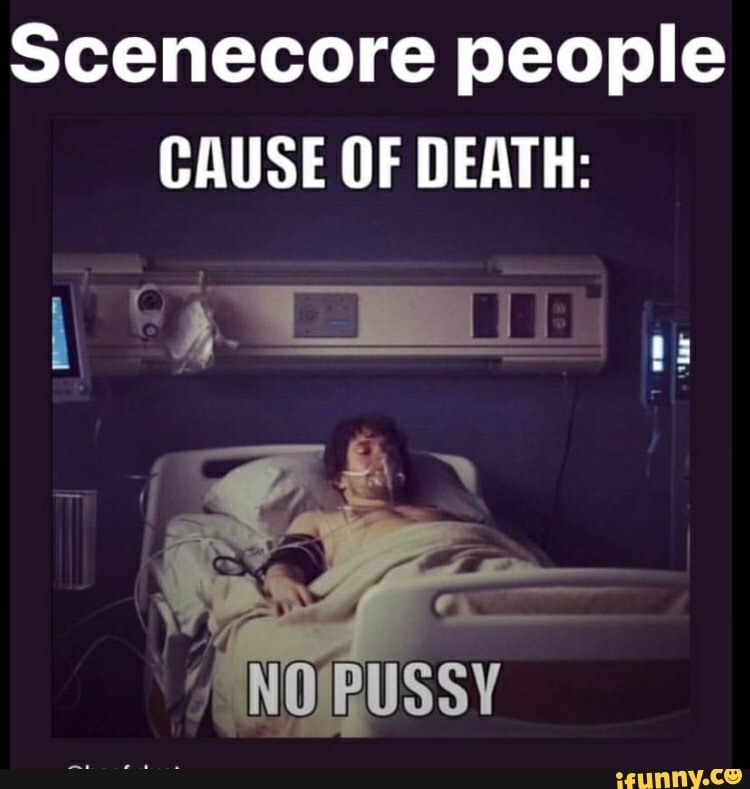 Scenecore memes. Best Collection of funny Scenecore pictures on iFunny