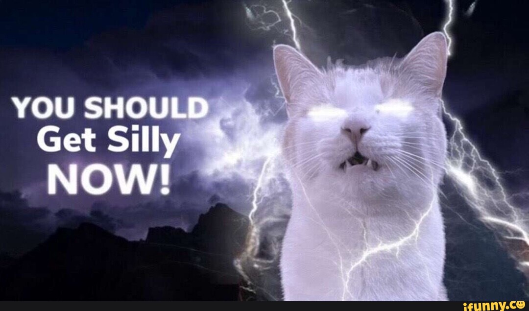 YOU SHOULD Get Silly NOW! - iFunny