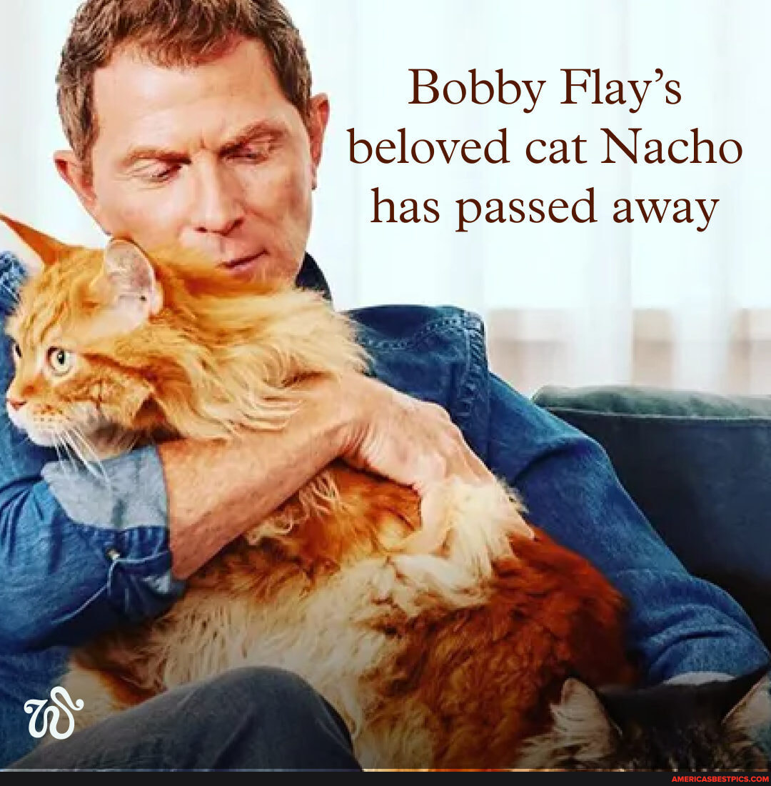 The celebrity chef announced the death of his nine-year-old cat Nacho ...
