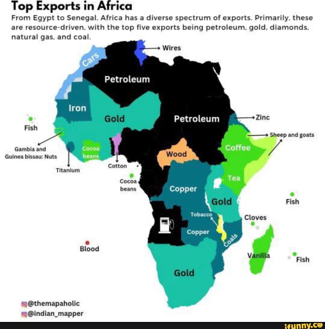 Top Exports in Africa From Egypt to Senegal. Africa has a diverse ...