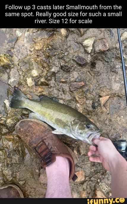 Follow up 3 casts later Smallmouth from the same spot. Really good size ...
