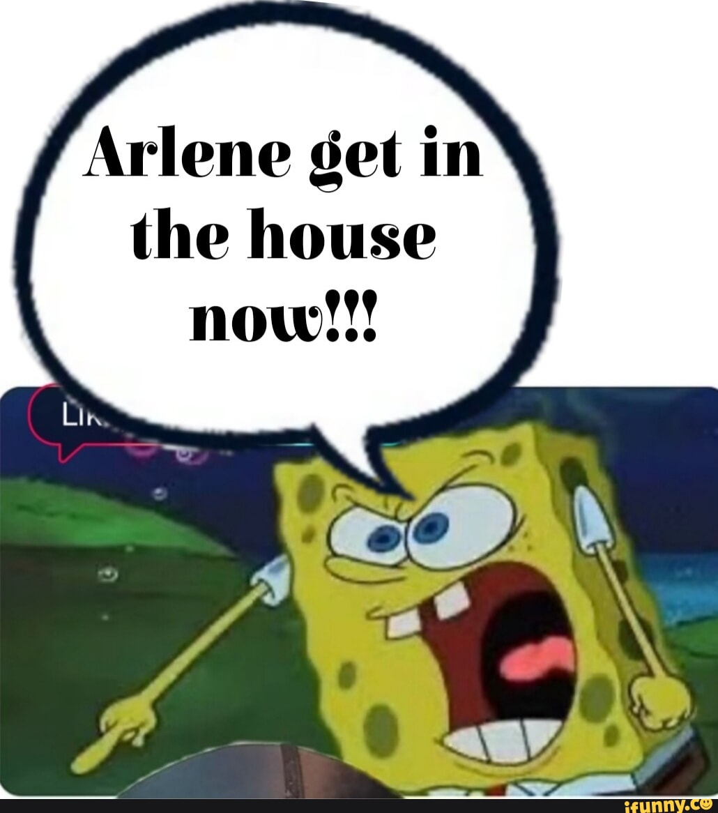 Arlene memes. Best Collection of funny Arlene pictures on iFunny