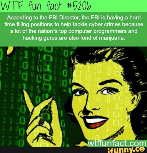 Fun fun fact According to the FBI Director, the FBI is having a hard ...