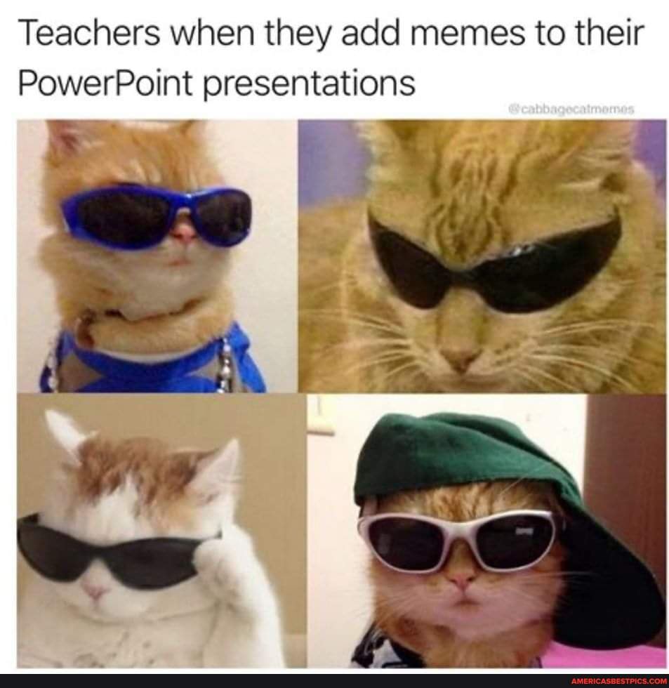 Teachers when they add memes to their PowerPoint presentations ie ...