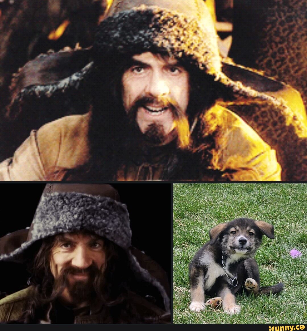 Bofur memes. Best Collection of funny Bofur pictures on iFunny