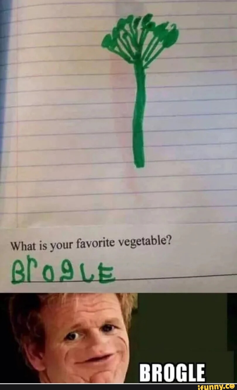 Brogle memes. Best Collection of funny Brogle pictures on iFunny