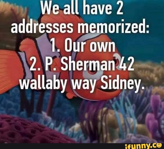 Wallaby memes. Best Collection of funny Wallaby pictures on iFunny