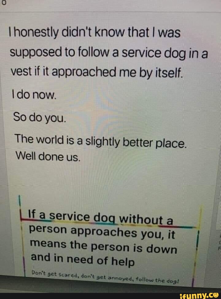 Approach memes. Best Collection of funny Approach pictures on iFunny