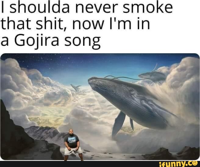 I shoulda never smoke that shit, now I'm in a GOjira song - iFunny