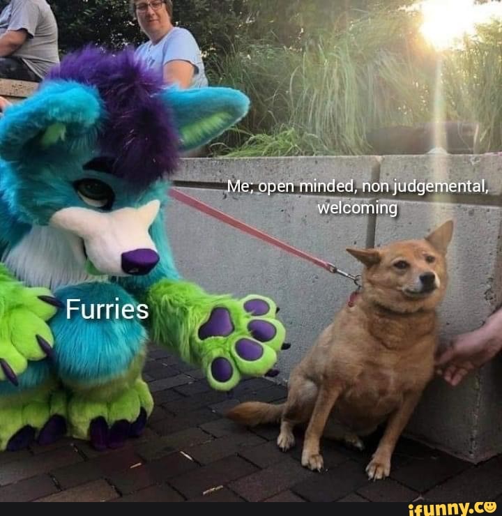 Me: open minded, non judgemental, welcoming Furies - iFunny