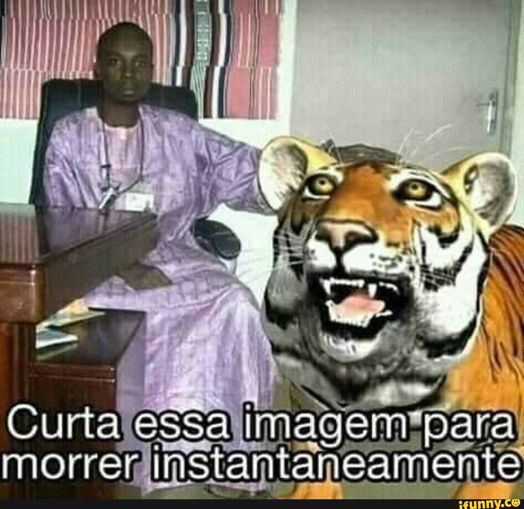 Morre memes. Best Collection of funny Morre pictures on iFunny