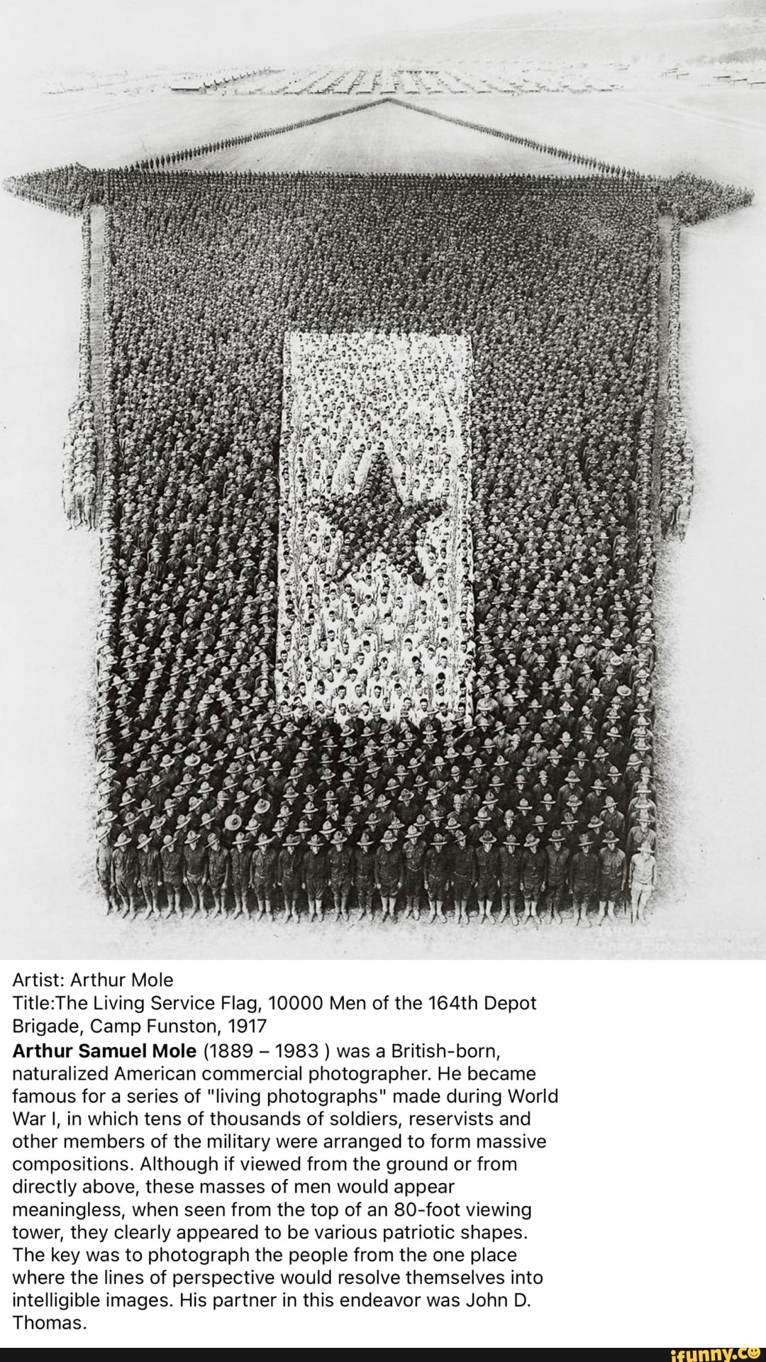 Artist: Arthur Mole Living Service Flag, 10000 Men of the 164th Depot ...