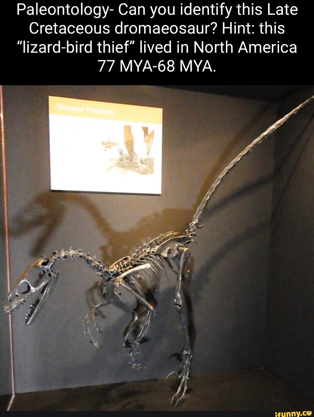 Paleontology- Can you identify this Late Cretaceous dromaeosaur? Hint ...