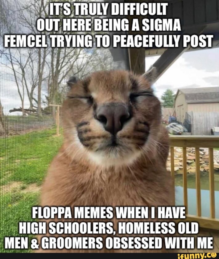 Poppa memes. Best Collection of funny Poppa pictures on iFunny