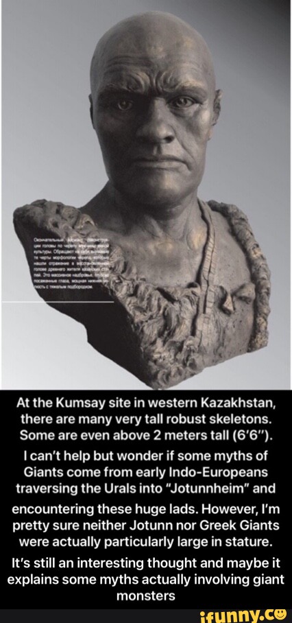 Robust memes. Best Collection of funny Robust pictures on iFunny