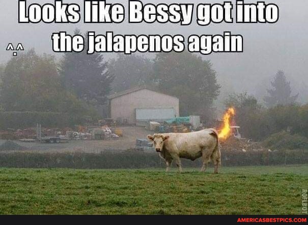 Ayain memes. Best Collection of funny Ayain pictures on America’s best ...