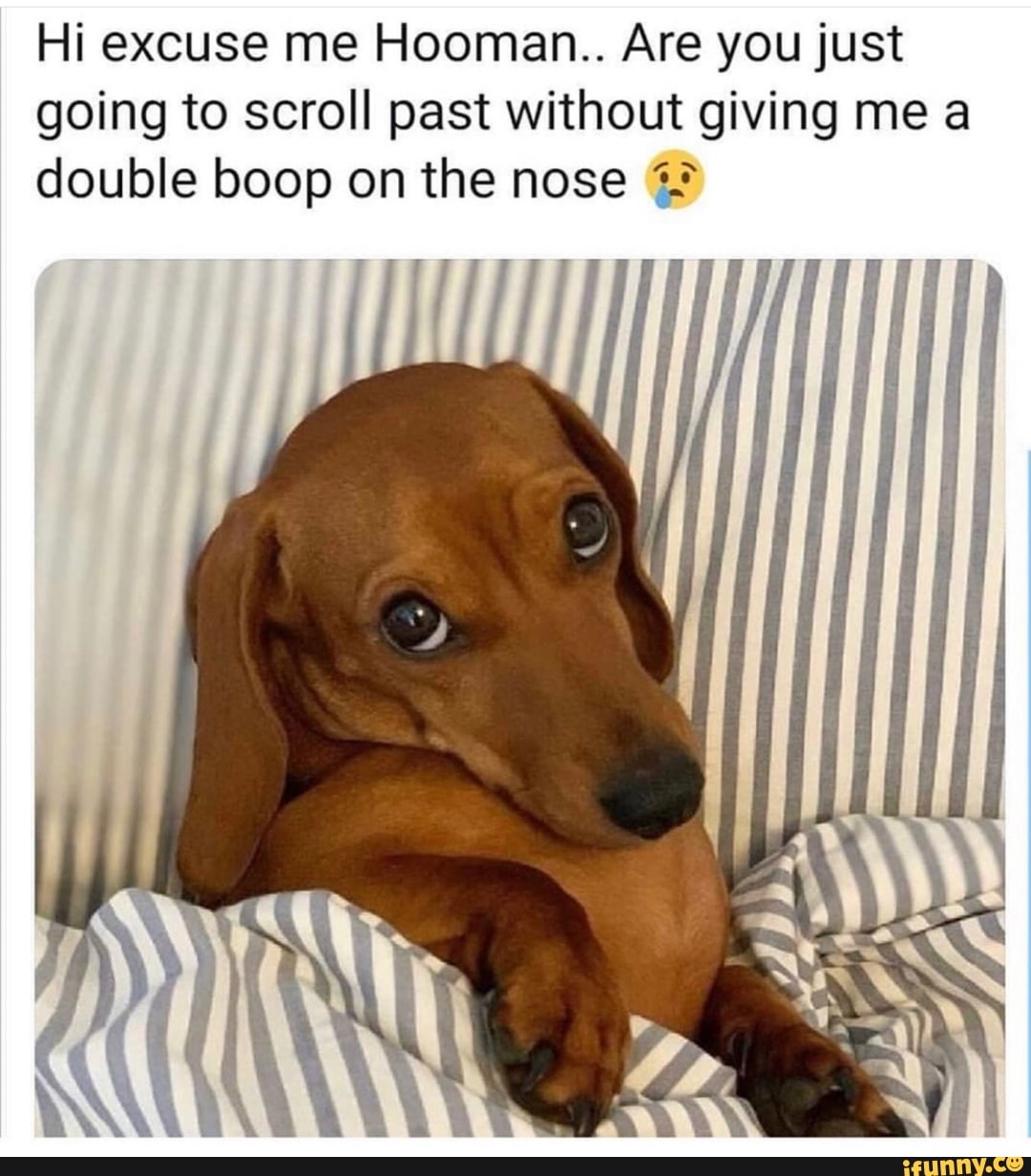 Hi excuse me Hooman.. Are you just going to scroll past without giving ...
