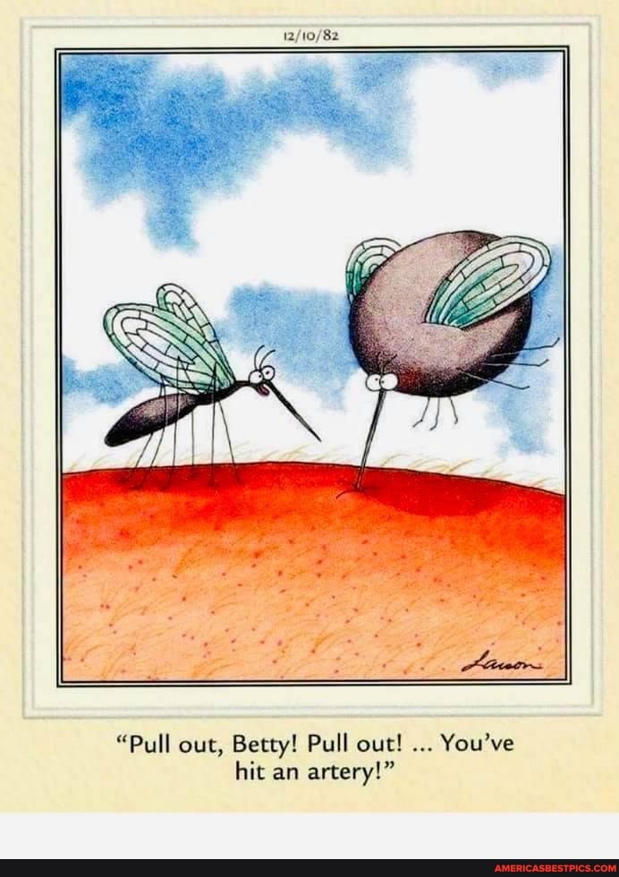 "Pull out, Betty! Pull out! You've hit an artery!" - America’s best ...