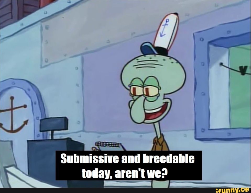 Submissive and breedable today, aren't we? - iFunny