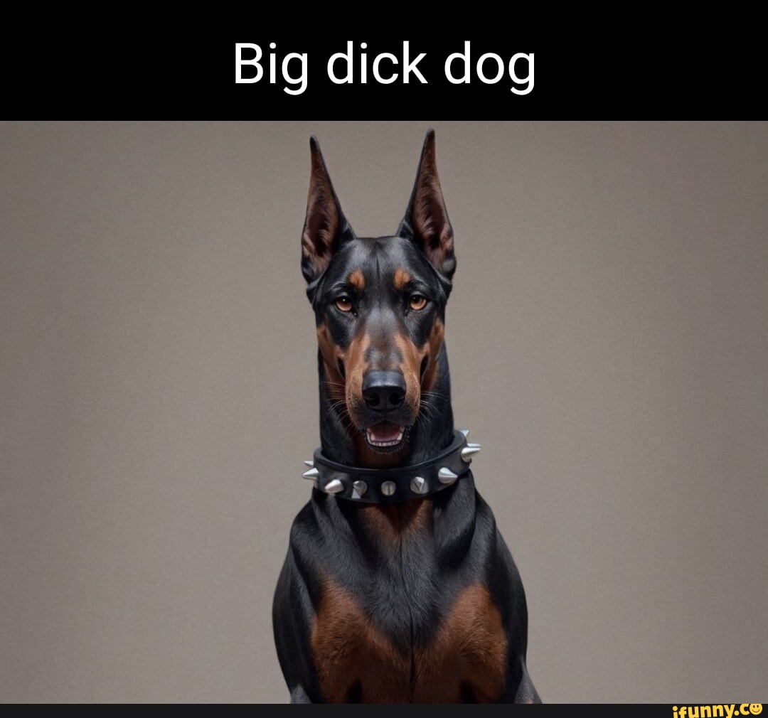 Big dick dog - iFunny