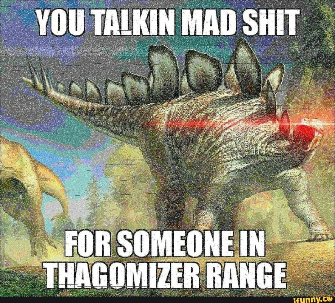YOU TALKIN MAD SiiT FOR SOMEONE IN THAGOMIZER RANGE - iFunny