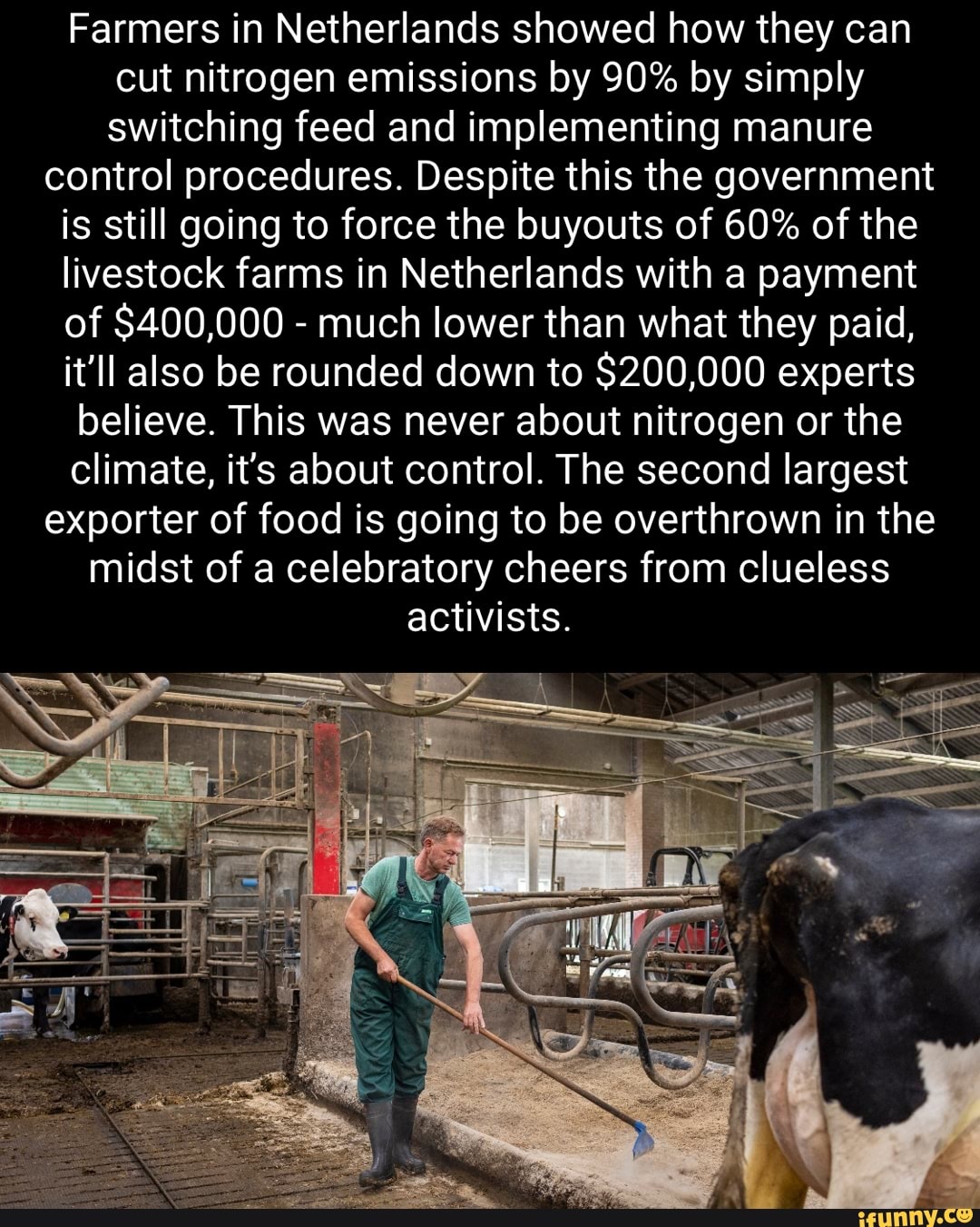 Farmers in Netherlands showed how they can cut nitrogen emissions by 90 ...