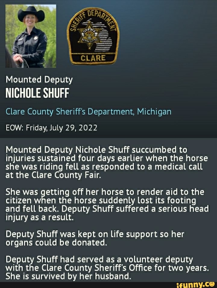 Ccsd memes. Best Collection of funny Ccsd pictures on iFunny