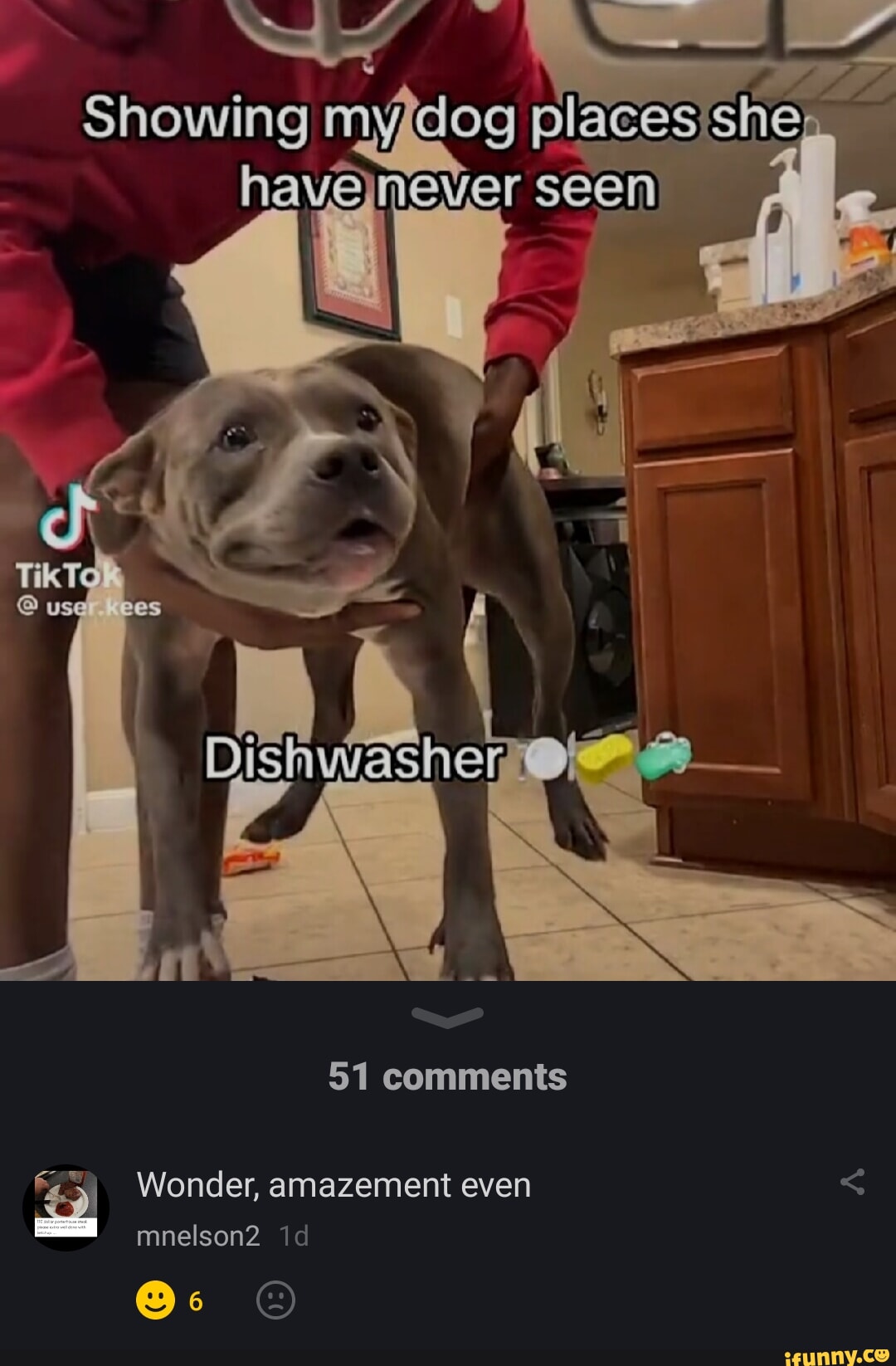 Amogus sus mogus 👍 - iFunny