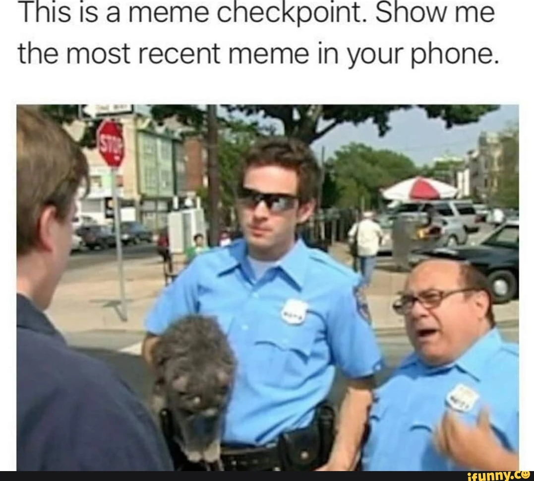 This is meme checkpoint. Show me the most recent meme in your phone ...
