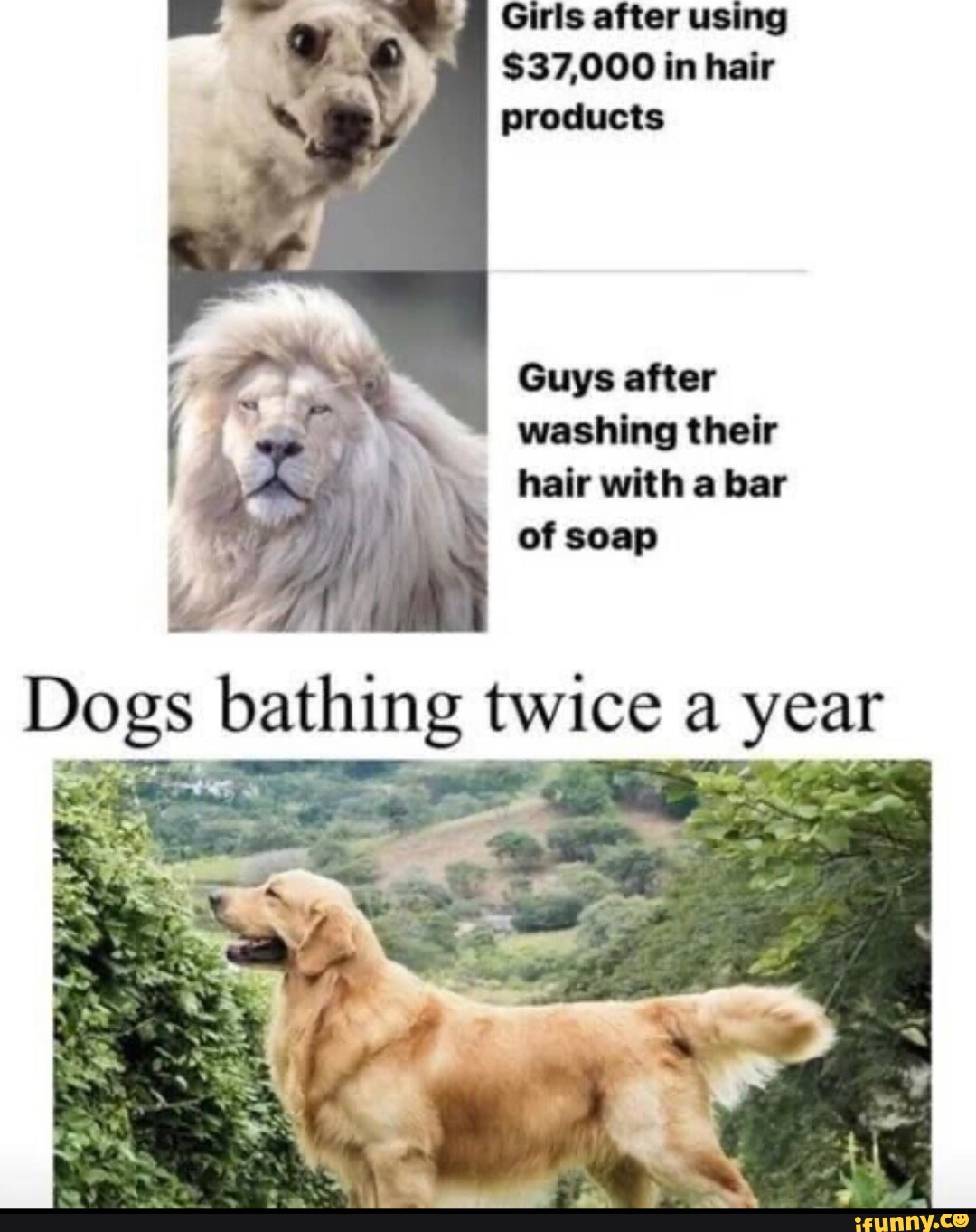 Me after posting a meme that pisses off hundreds of people, causing ...