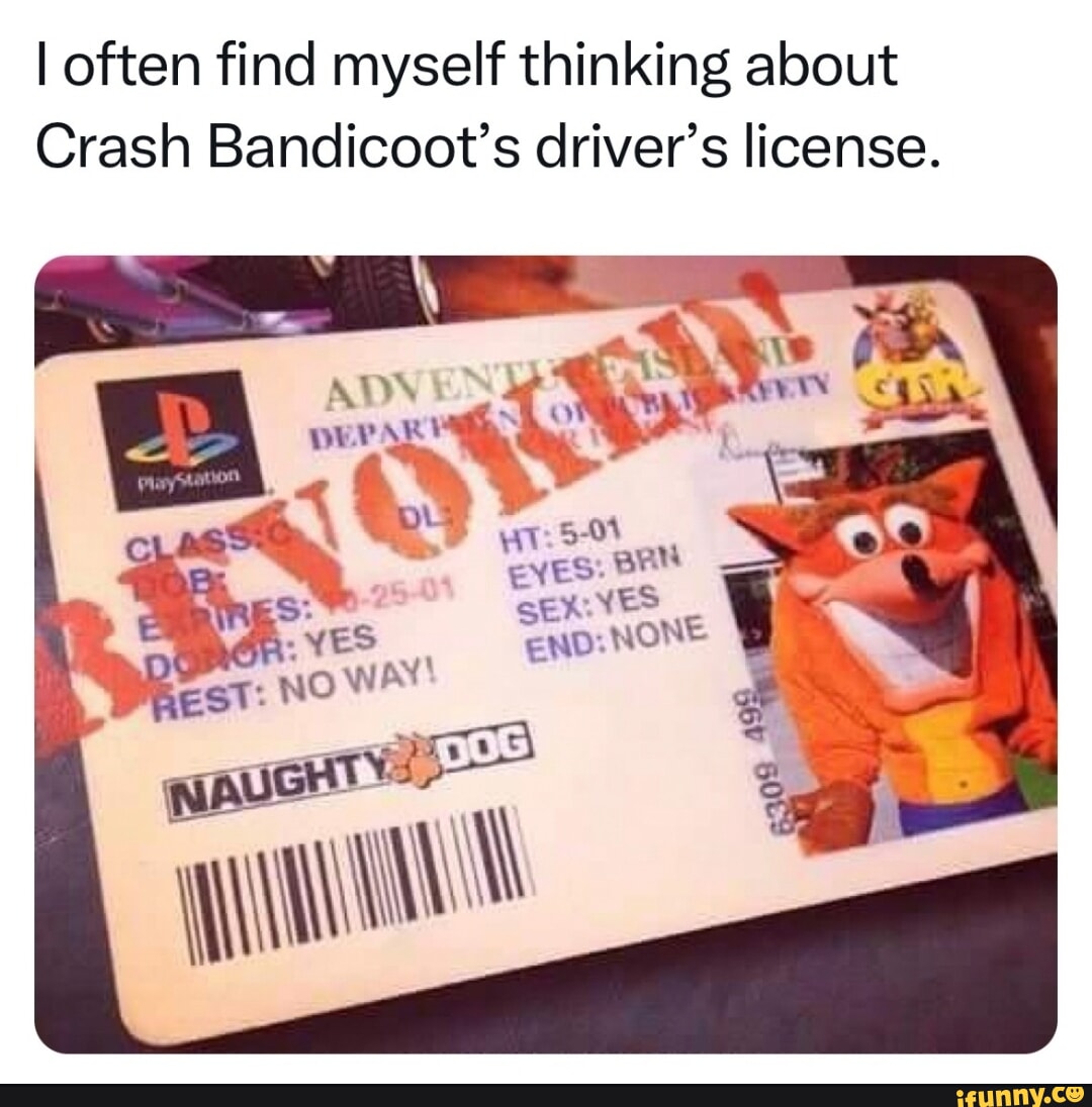 I often find myself thinking about Crash Be driver's license. END: est ...