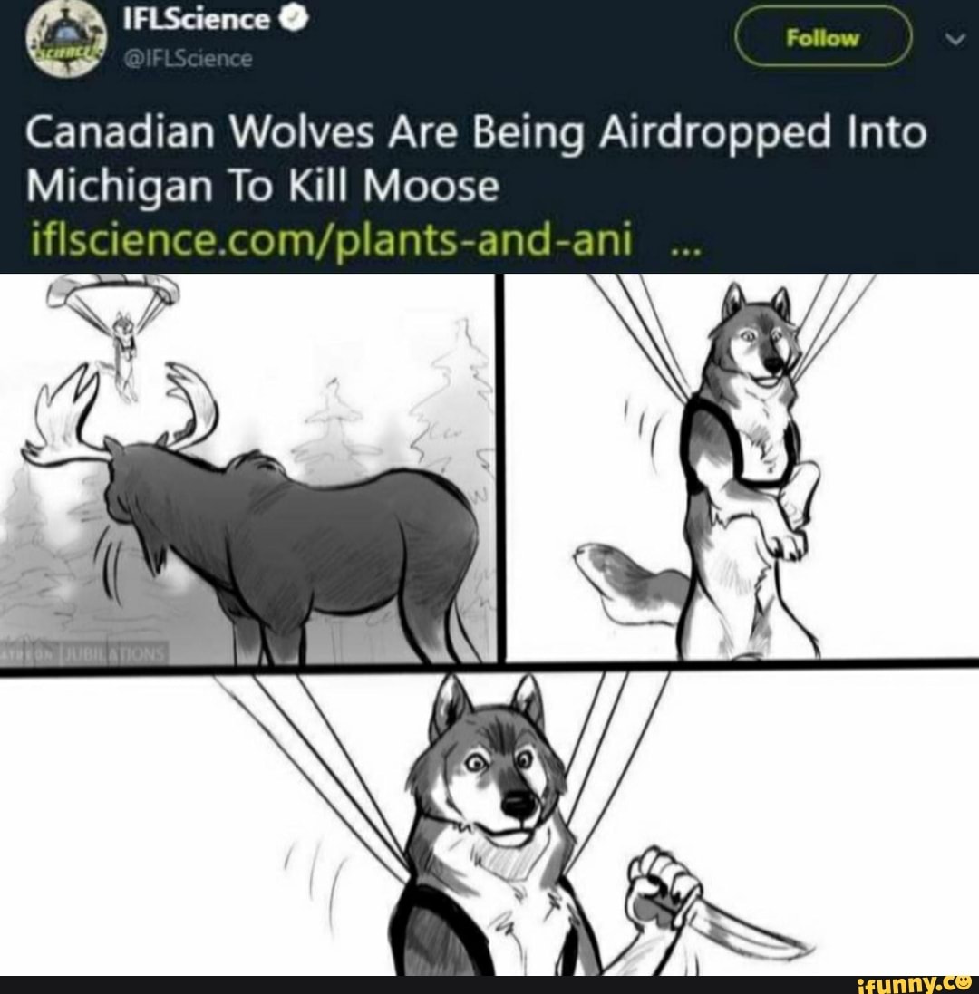 Goa o Canadian Wolves Are Being Airdropped Into Michigan To Kill Moose ...
